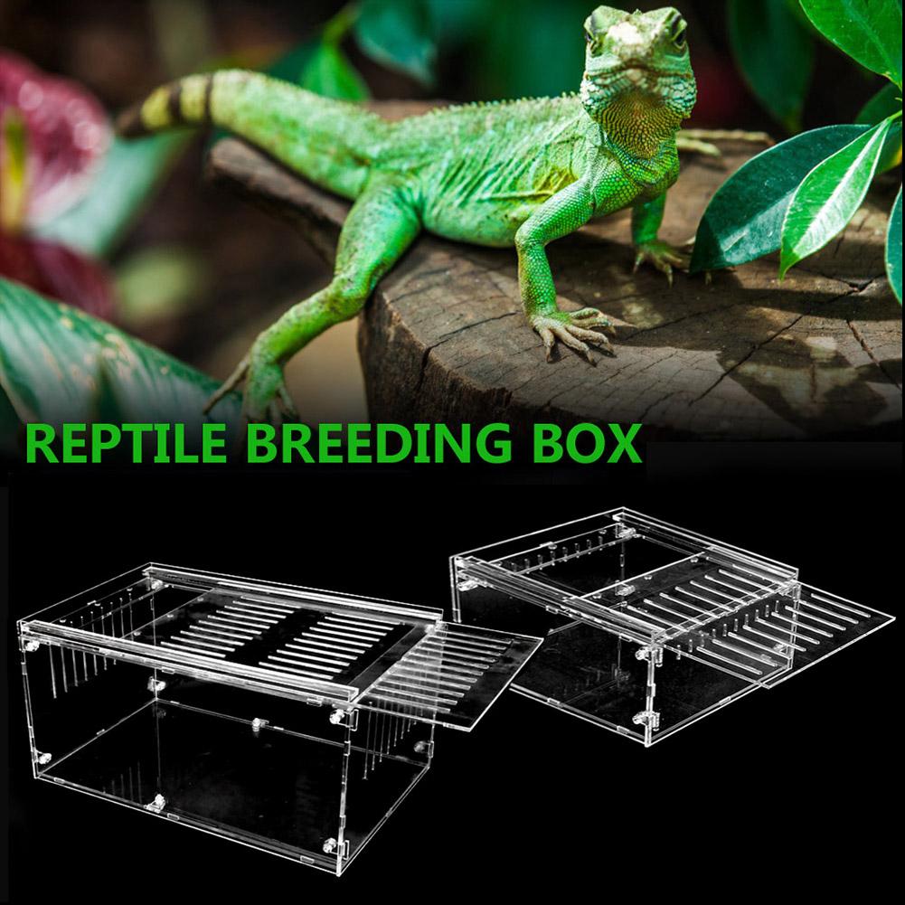 Reptile Breeding Box Acrylic Feeding Box For Spide... – Grandado