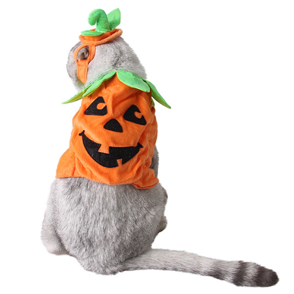 Halloween fest husdjur pumpa kostym för hundar kat... – Vicedeal