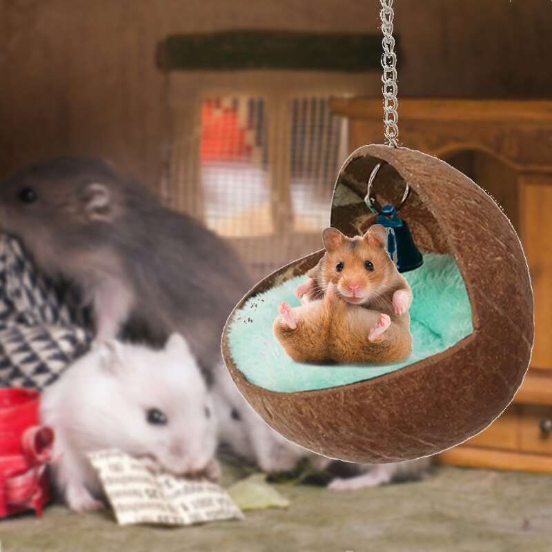 Pets Coconut Shell Nest House Hamster Squirrel Dut... – Vicedeal