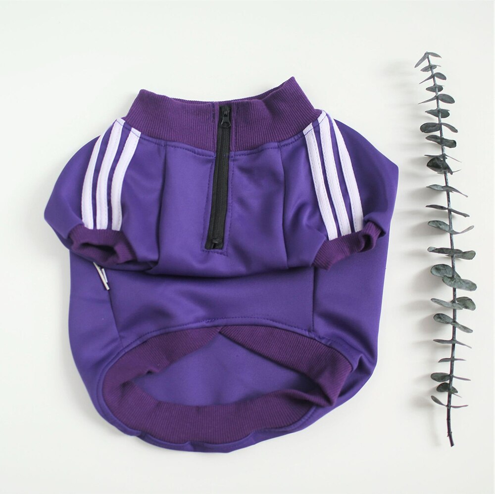 Hoodies Dog clothes for small dogs clothes for yor... – Grandado