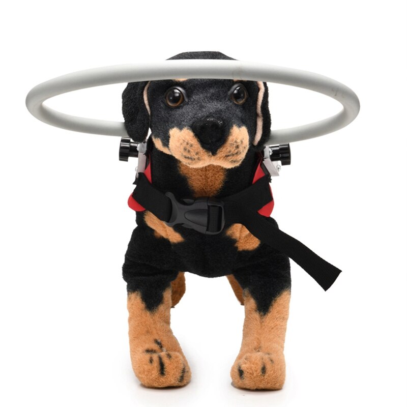 Blind Pet Anti-collision Ring Collar Blind Dogs Sa... – Grandado