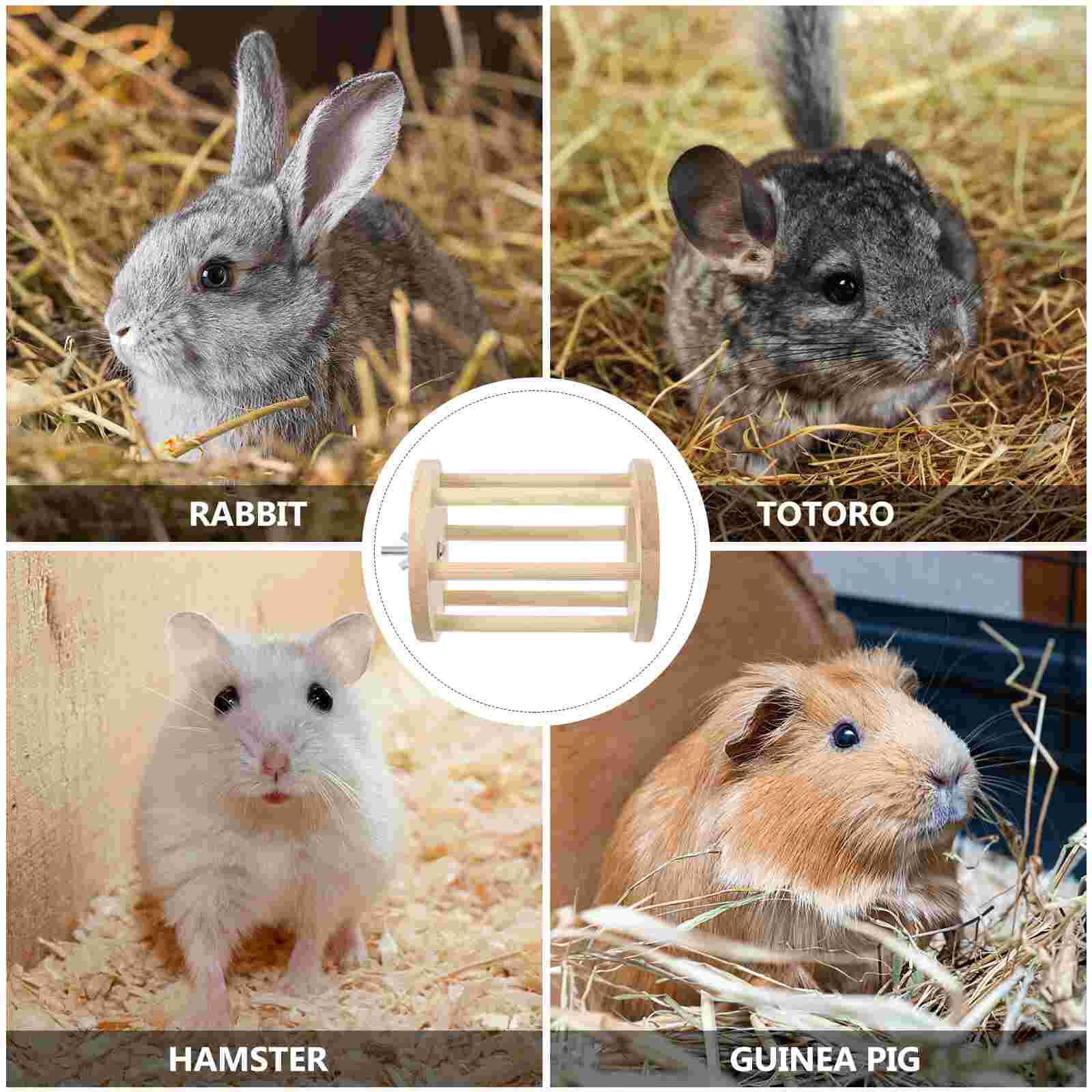 Rabbit Hay Feeder Rack for Small Animals Bunny Fee... – Grandado