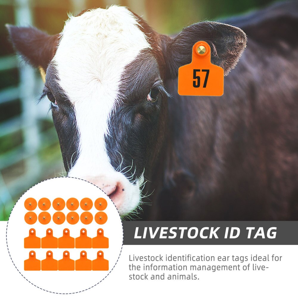 100pcs Durable TPU Animal Ear Tags Empty Ear Tags ... – Vicedeal