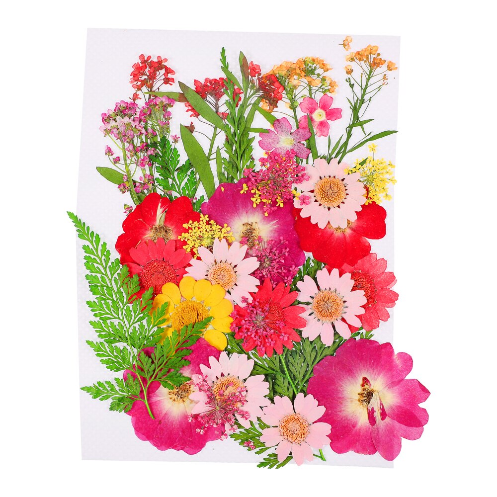 40 Uds flores secas epoxi de cristal Material Flor... – Grandado