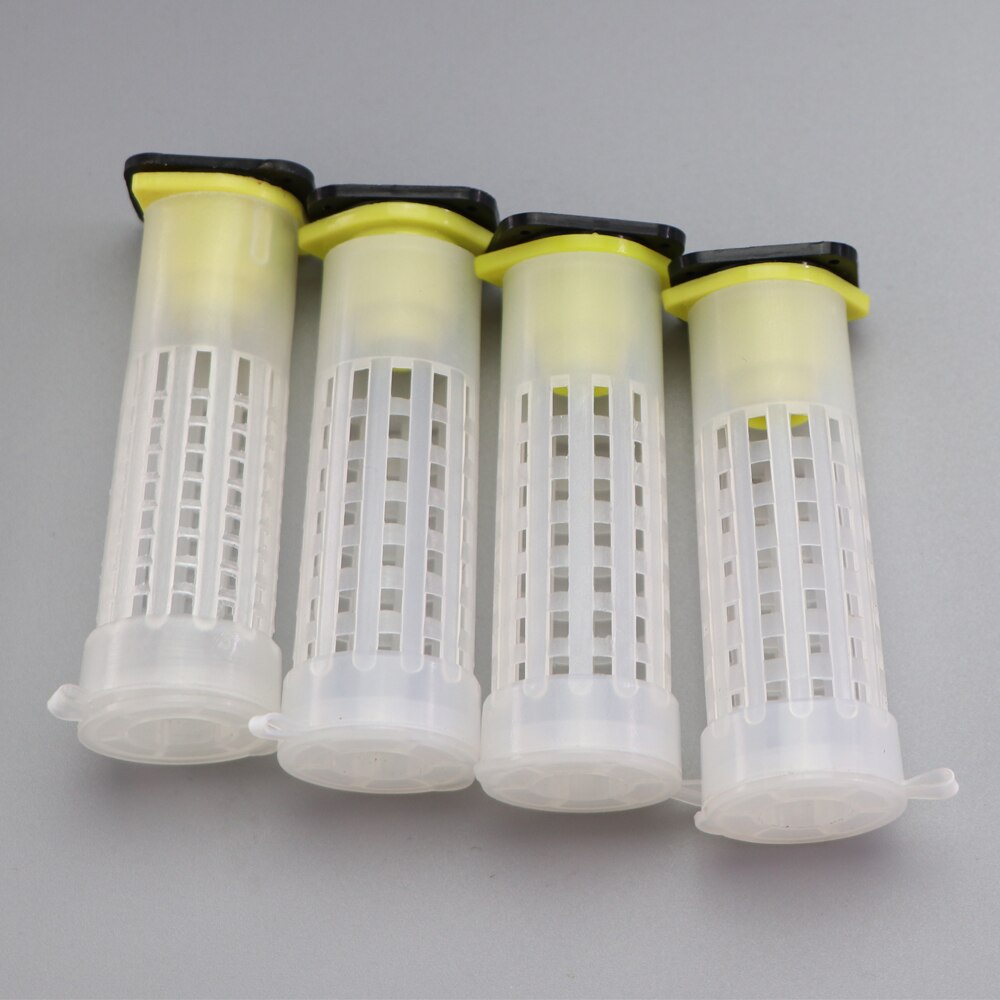 Bee Tool Cages King Queen Rearing Cupkit System Be... – Grandado