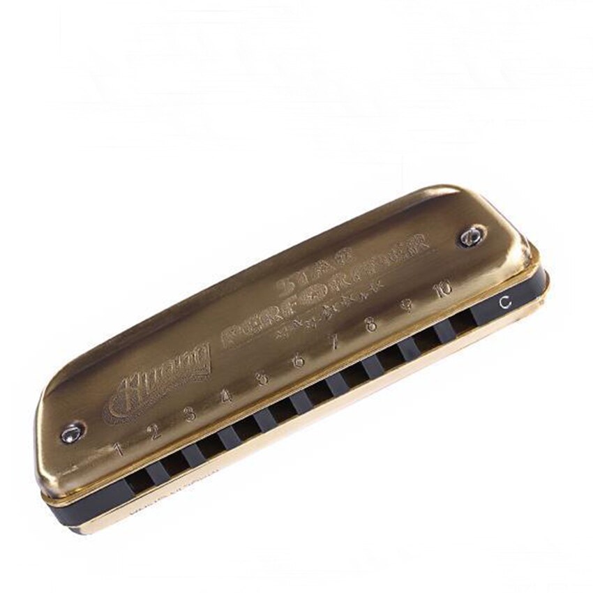 Vintage Style Blues Harmonica Golden 10 Holes C Ke... – Grandado