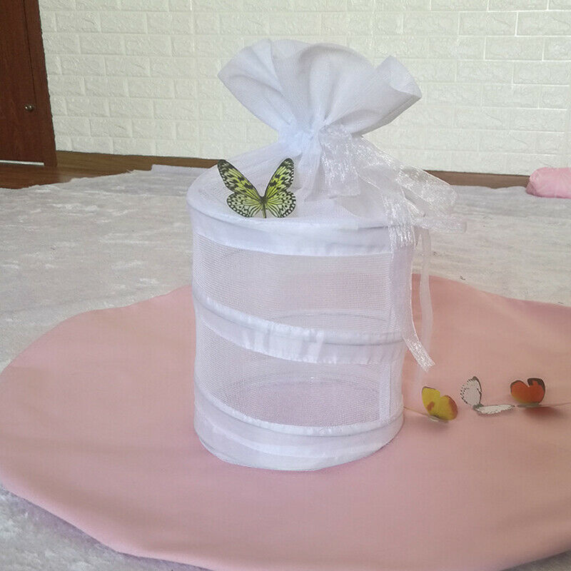 Insect Observation Box White Insect Breeding Cage ... – Grandado