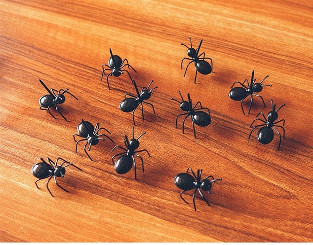 Fourchettes à Dessert pour enfants | Mini fourmi p... – Grandado