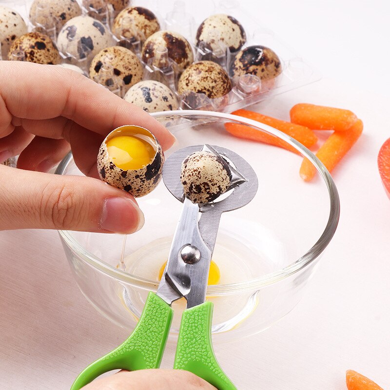 Pigeon Quail Egg Scissor Bird Cutter Opener Egg Sl... – Grandado