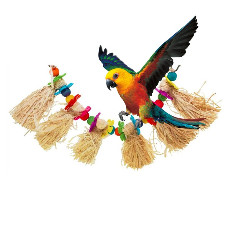 PipiFren Bird Toys For African Grey Parrots And Pe... – Vicedeal