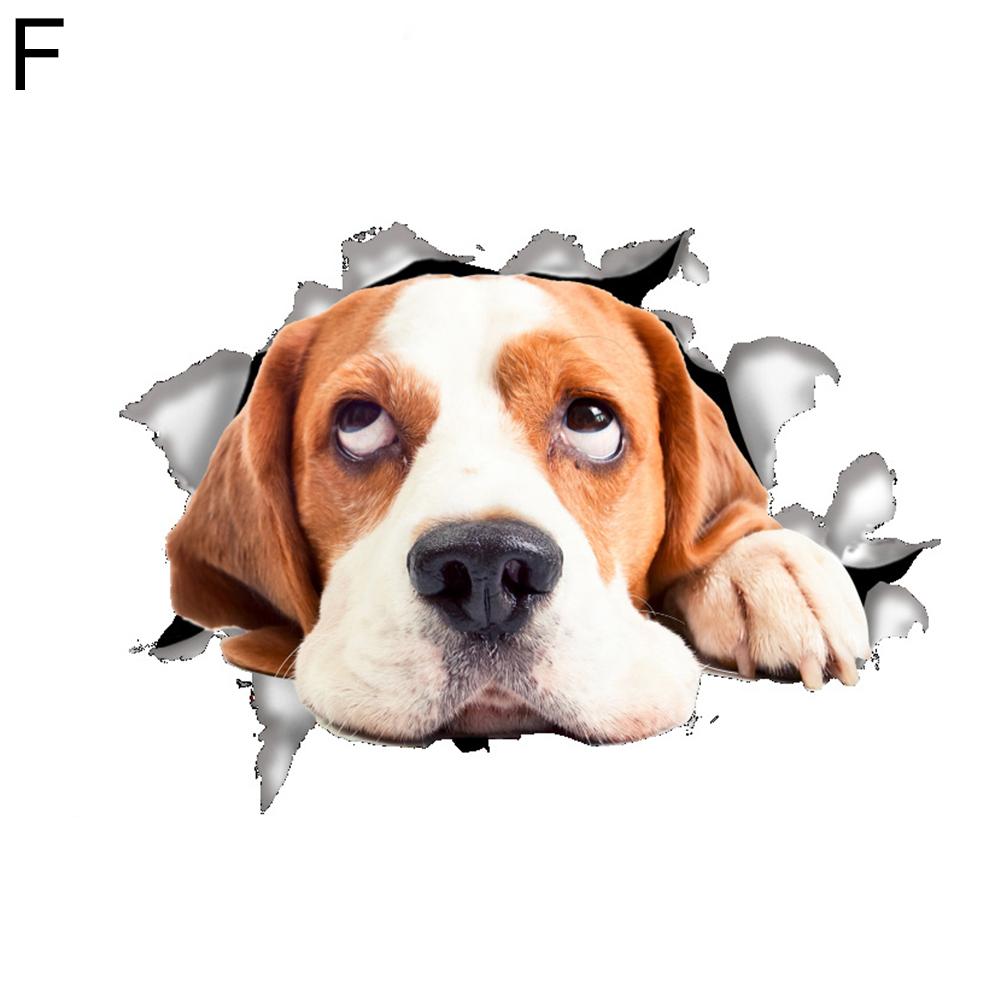 Animal Wall Sticker 3D Cute Hole View Cats Dogs To... – Grandado