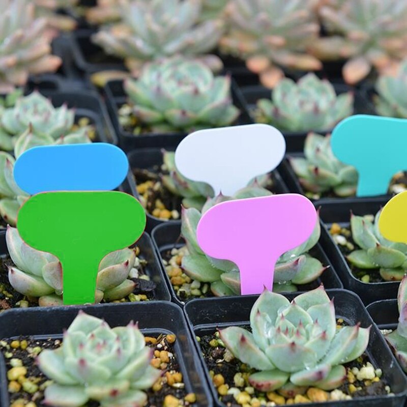 T-Typle Plastic Plant Tags Waterdicht Plant Tuin L... – Vicedeal