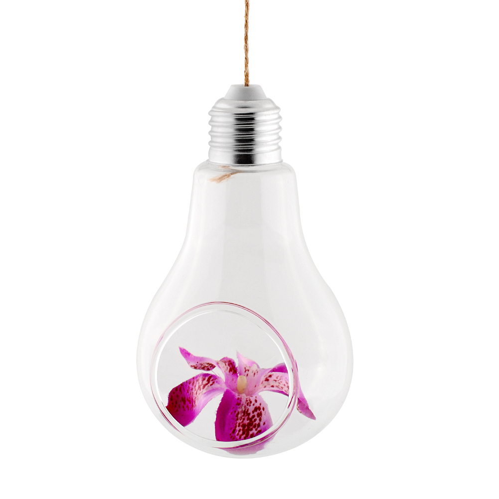 Light Bulb Shape Glass Hanging Hydroponic Plant Co... – Vicedeal
