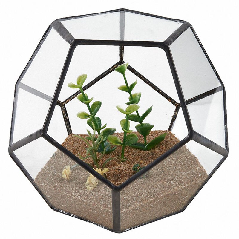 Black Glass Pentagon Geometric Terrarium Container... – Vicedeal