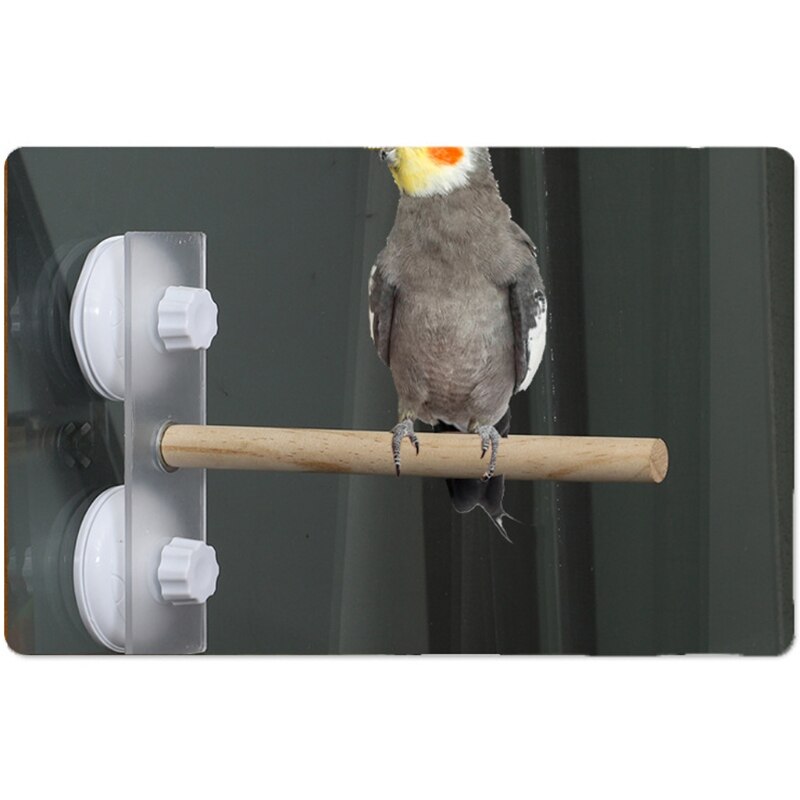 Huisdier Vogel Papegaai Stand Baars Douche Baars S... – Vicedeal