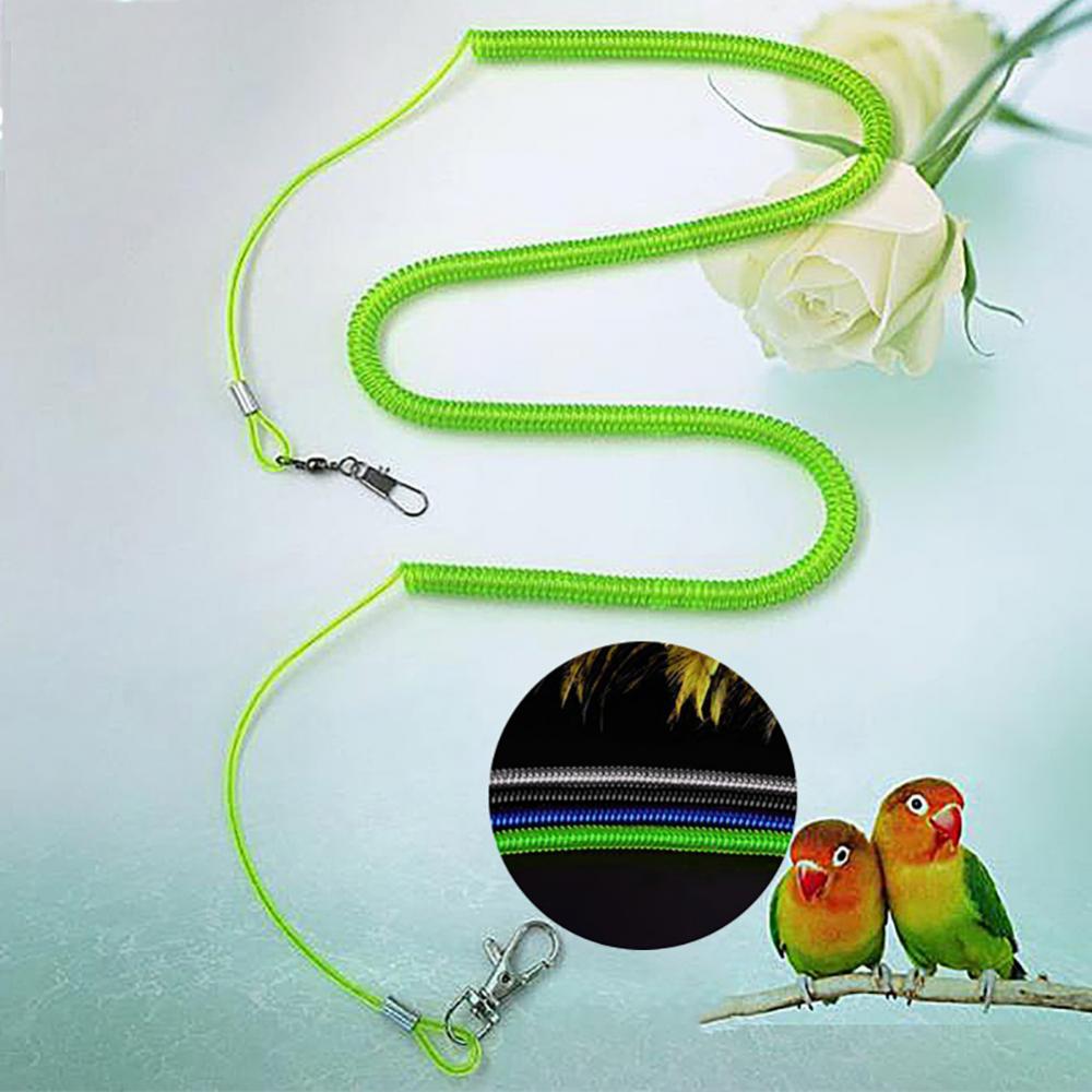 Parrot Bird Durable Leash Flying Training Rope Str... – Grandado