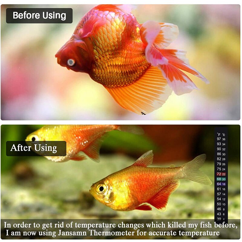 Aquarium Thermometer Dual Scale Fish Tank Liquid L... – Grandado