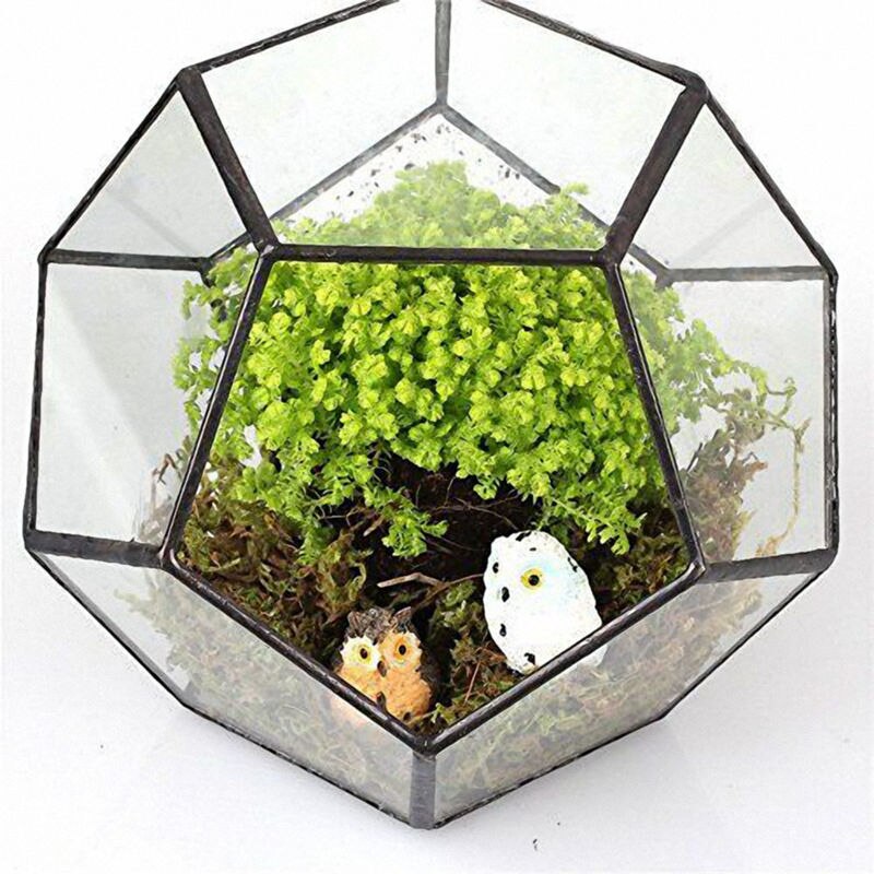 Black Glass Pentagon Geometric Terrarium Container... – Grandado