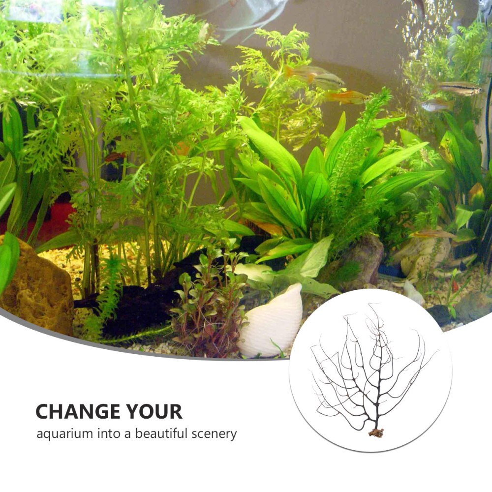 Black Sea Fan Fish Tank Aquarium Decoration Sea Co... – Grandado