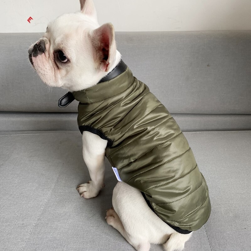 Winter pet coat clothes for dogs Winter clothing W... – Grandado