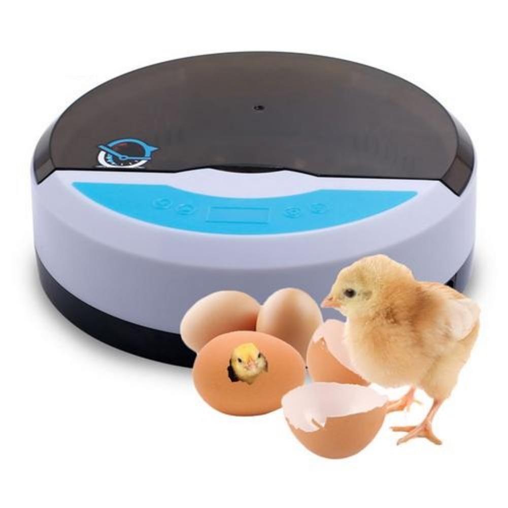 Intelligent Eggs Incubator Hatcher Automatic Digit... – Grandado