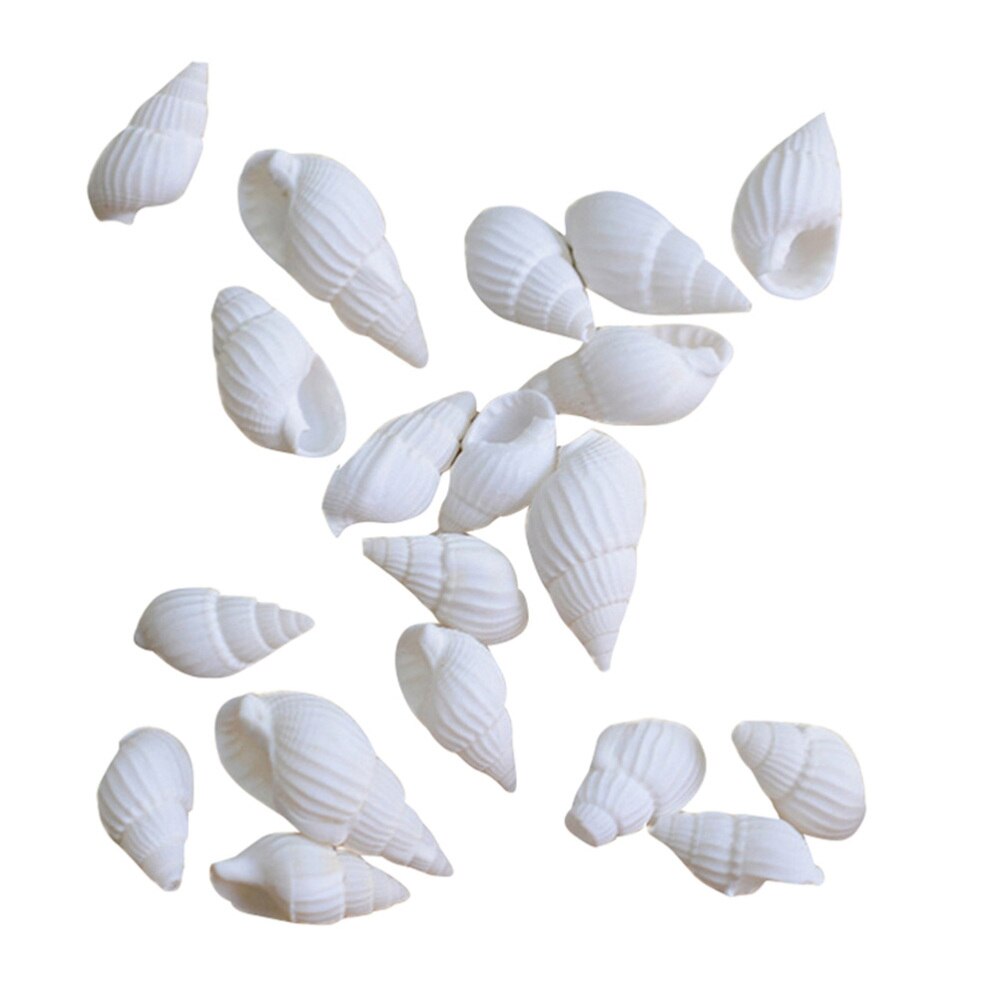 100pcs White Mini Sea Shell Conches Craft Wedding ... – Vicedeal