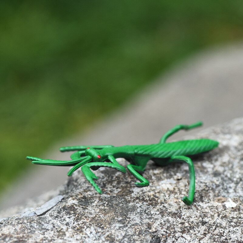 Cognitive Toys 12PCS Plastic Realistic Bugs Lifeli... – Grandado