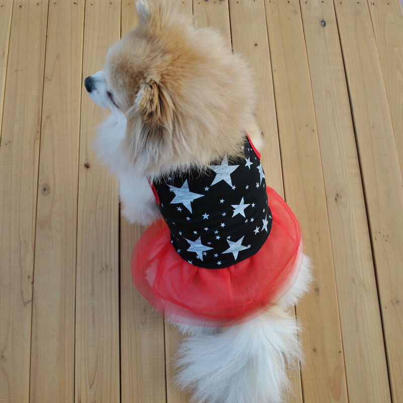 Dog Dress Cute Star Print Double Layer Lace Tutu D... – Grandado