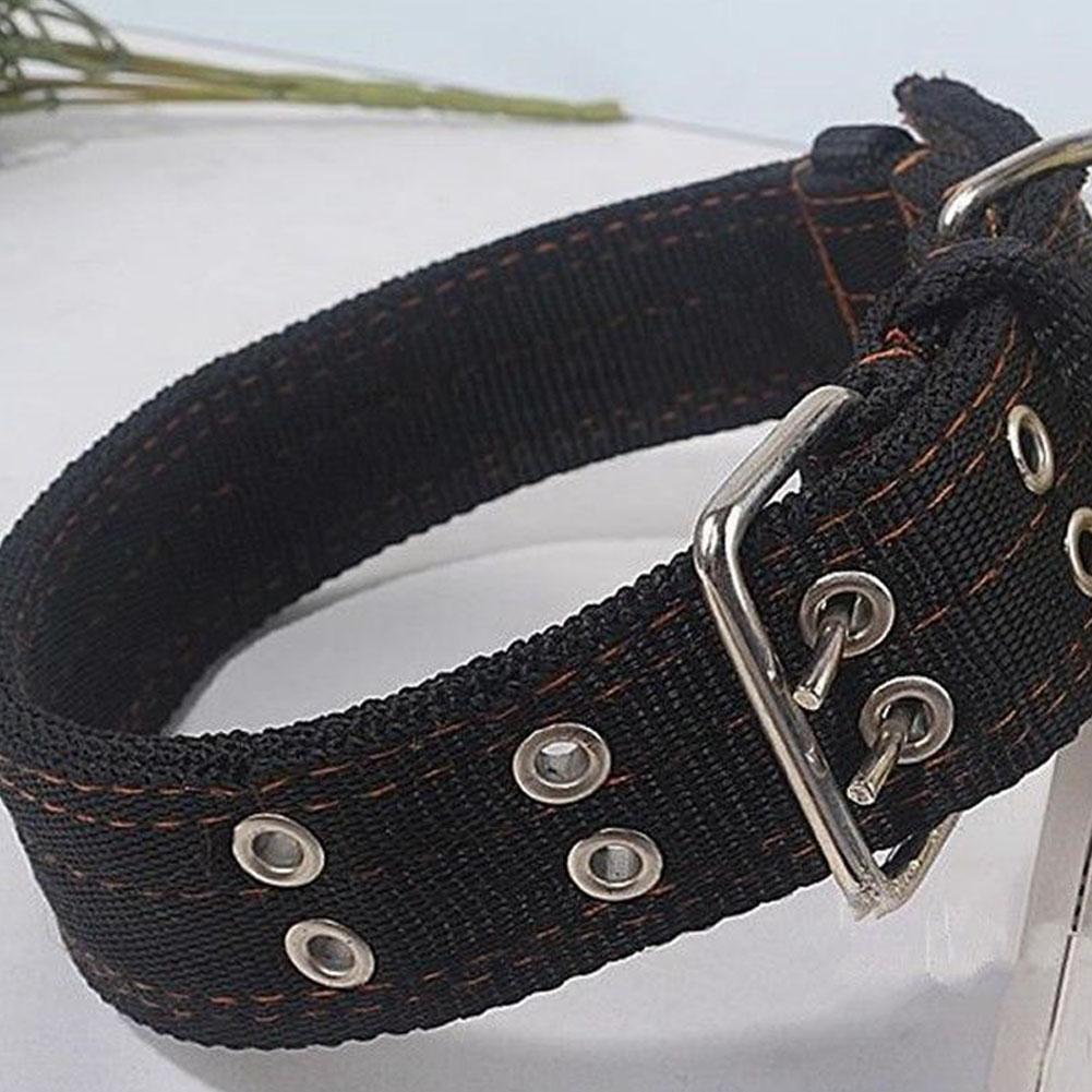 Heavy Duty Large Dog Collar Neck Adjustable Exquis... – Grandado