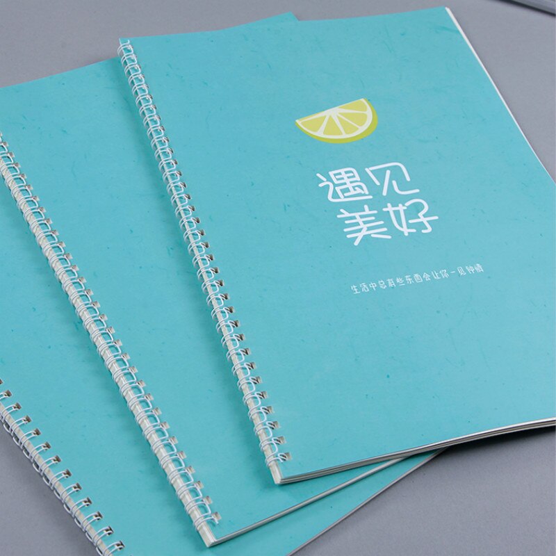 Adult Calligraphy Copybook Chinese Character Cute ... – Vicedeal
