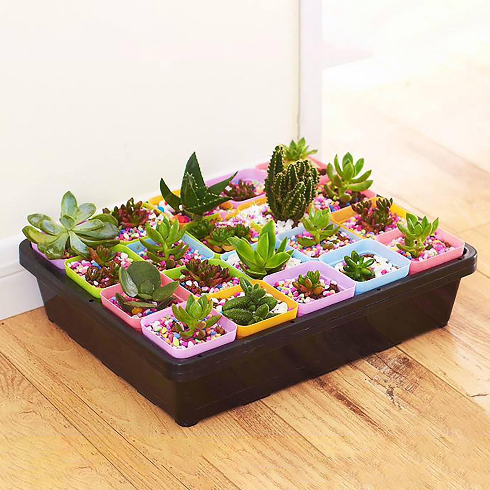 20 Cells Gardening Colorful Nursery Pots Mini Brea... – Grandado