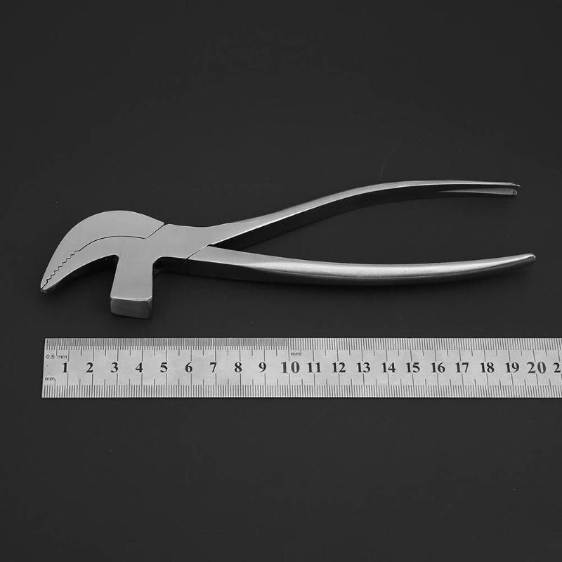 Stainless Steel Upper Pincer Multi-functional Beak... – Grandado