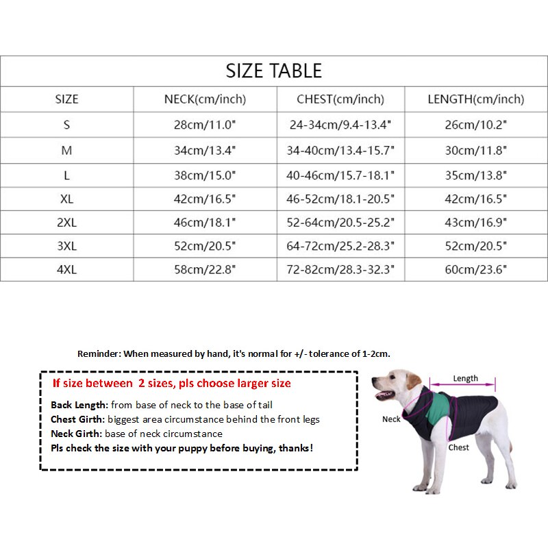 Schnauzer Windbreaker for Bully Chihuahua Hoodie R... – Vicedeal