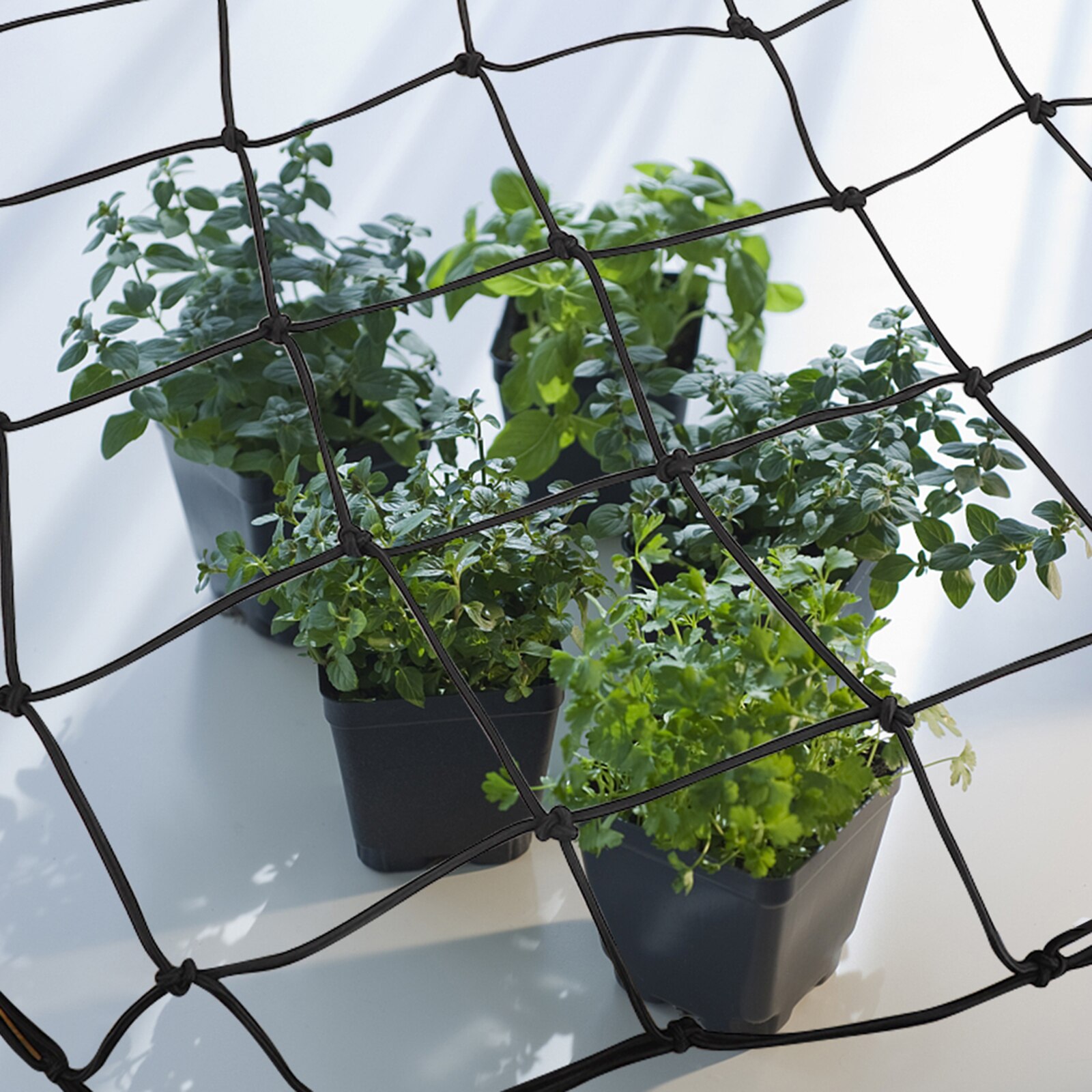 Plant Tent Stretchy Trellis Netting Durable 15x15c... – Grandado