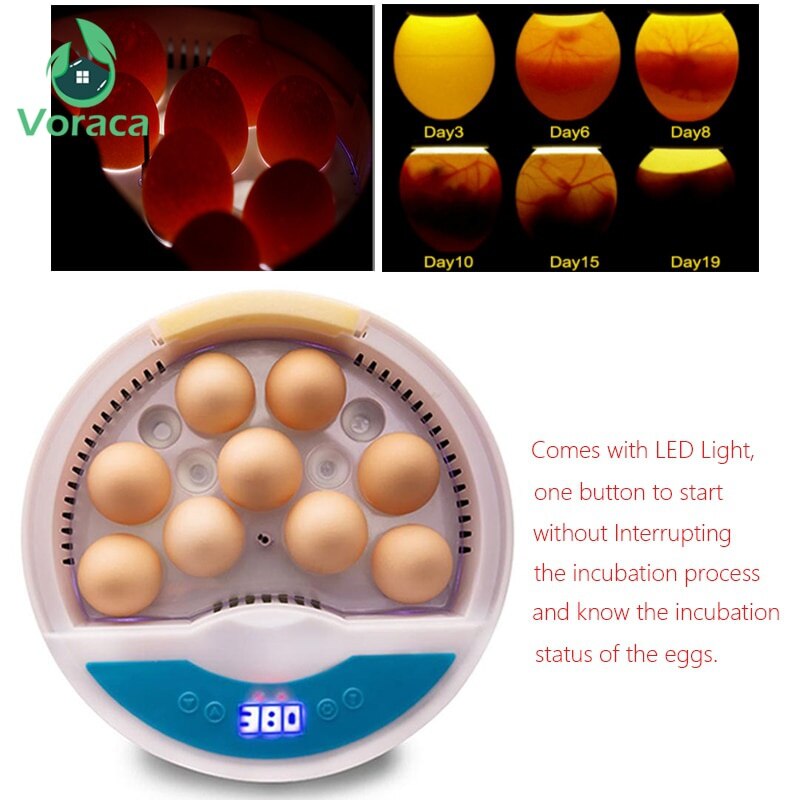Eieren Incubator Automatische Digitale Broedmachin... – Vicedeal