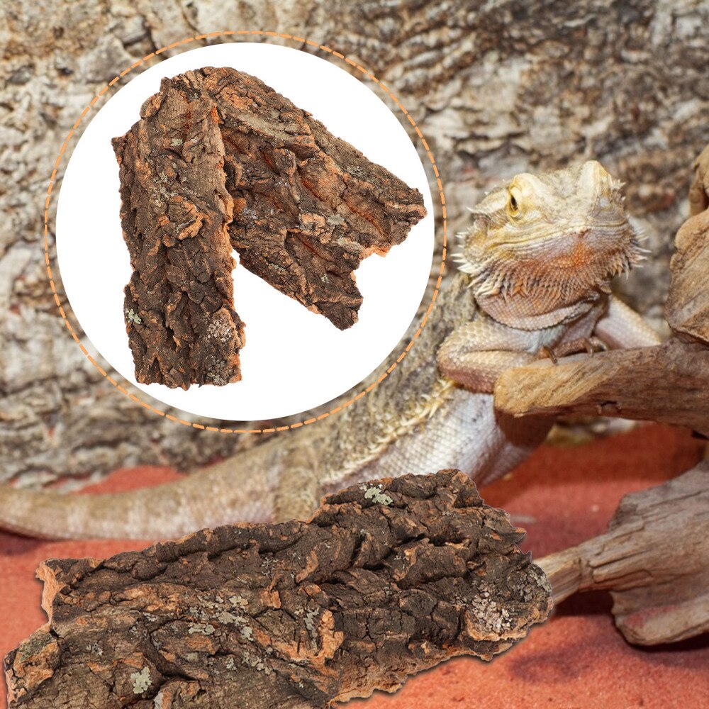 2pcs Reptile Terrarium Landscape Ornament Pet Drag... – Grandado