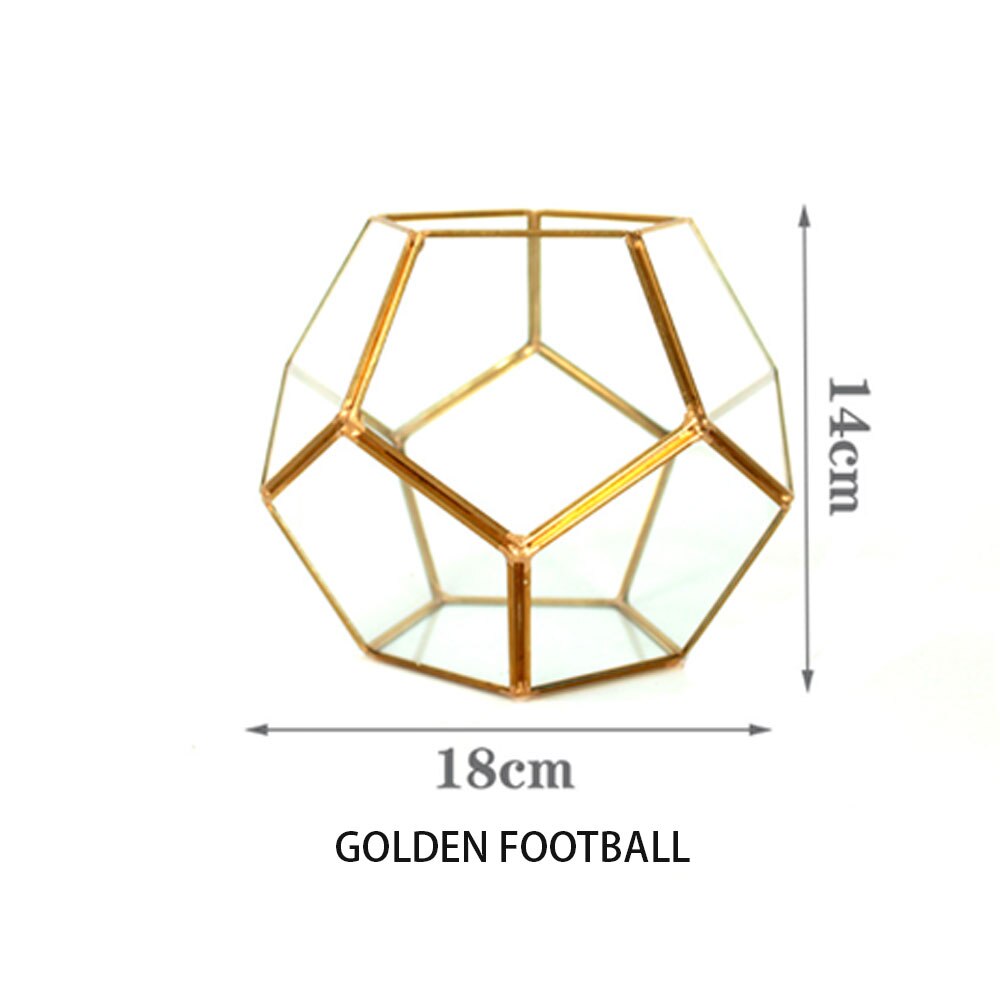 Geometrische Glas Pentagon Terrarium Container Ven... – Vicedeal