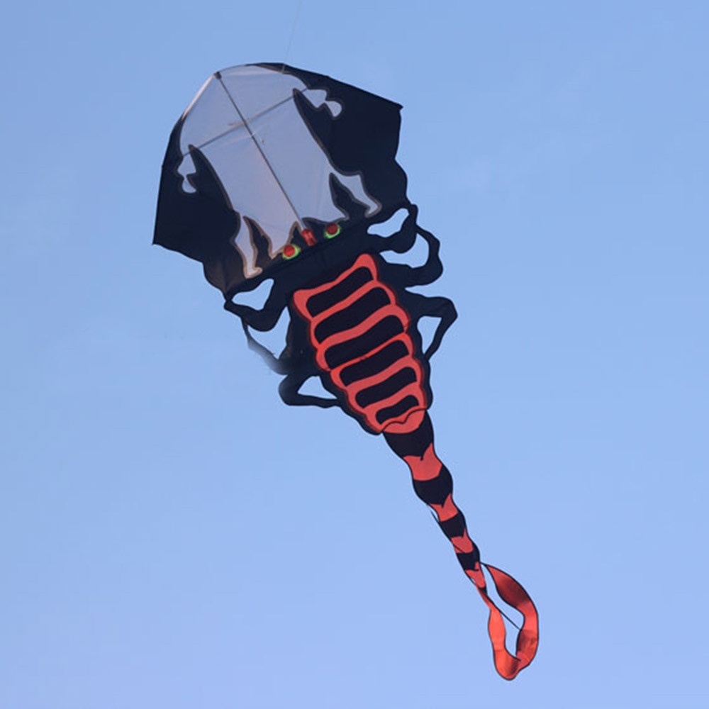 Scorpion Kite single line sailboat flying kite out... – Grandado