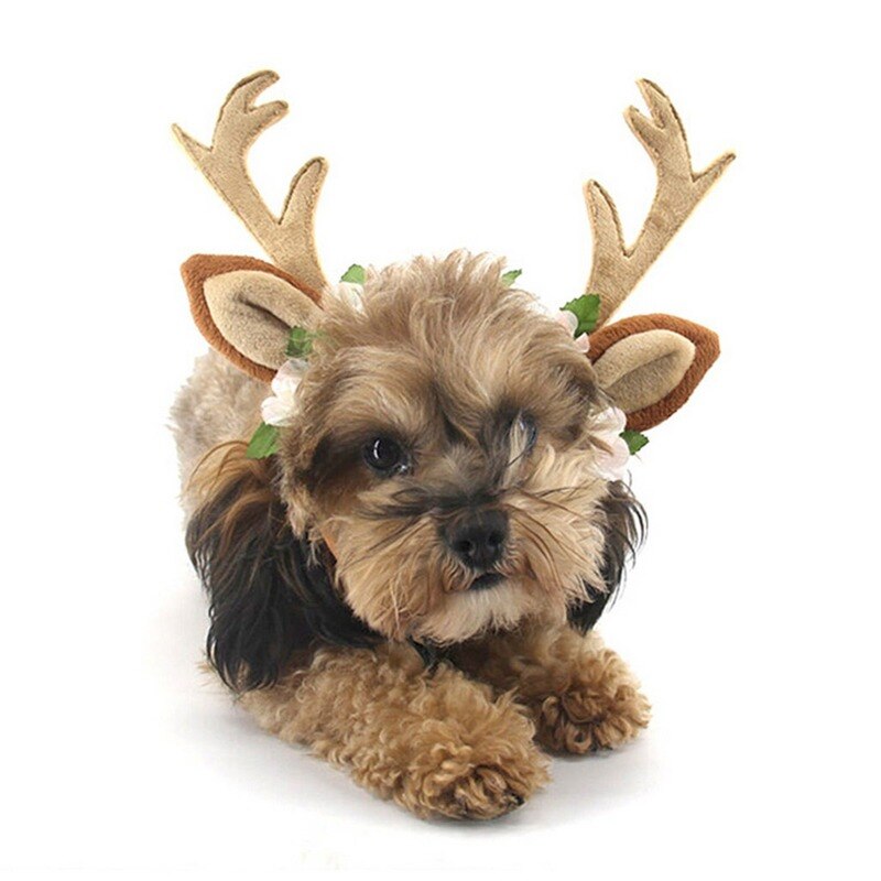 Micatale Xmas Hoed Hond Kat Kerst Hoofddeksels Ker... – Vicedeal
