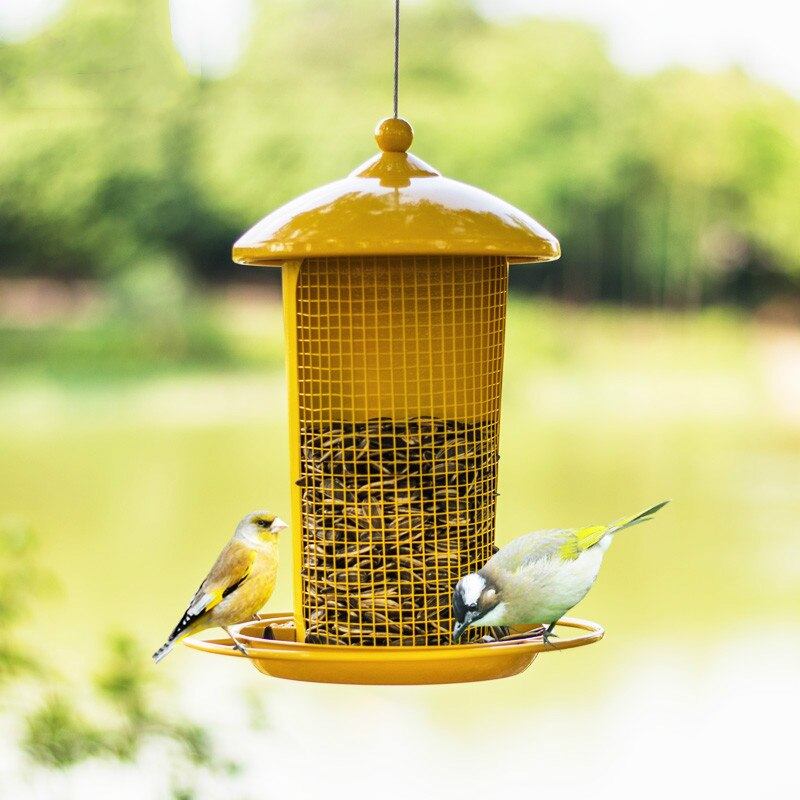 Outdoor bird feeder thrush pigeon swallow bird bir... – Grandado