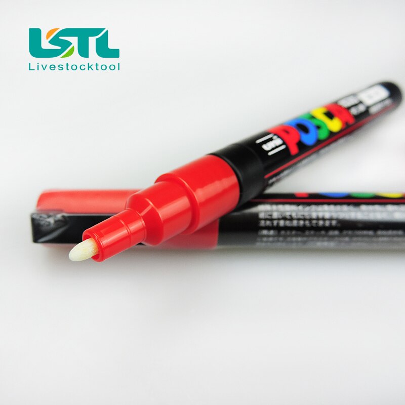 Beekeeping Queen Bee Marking Pen 5 Colors Yellow/b... – Grandado