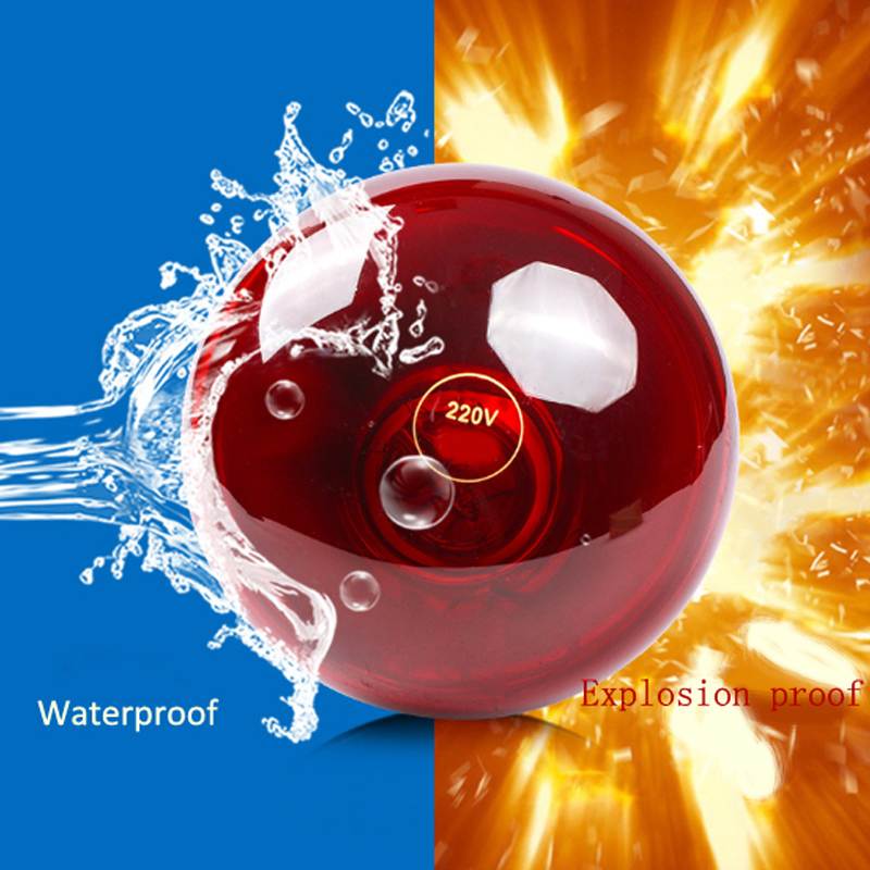 E27 100W/250W 220V Farm Red Heat Lamp Pet Poultry ... – Vicedeal