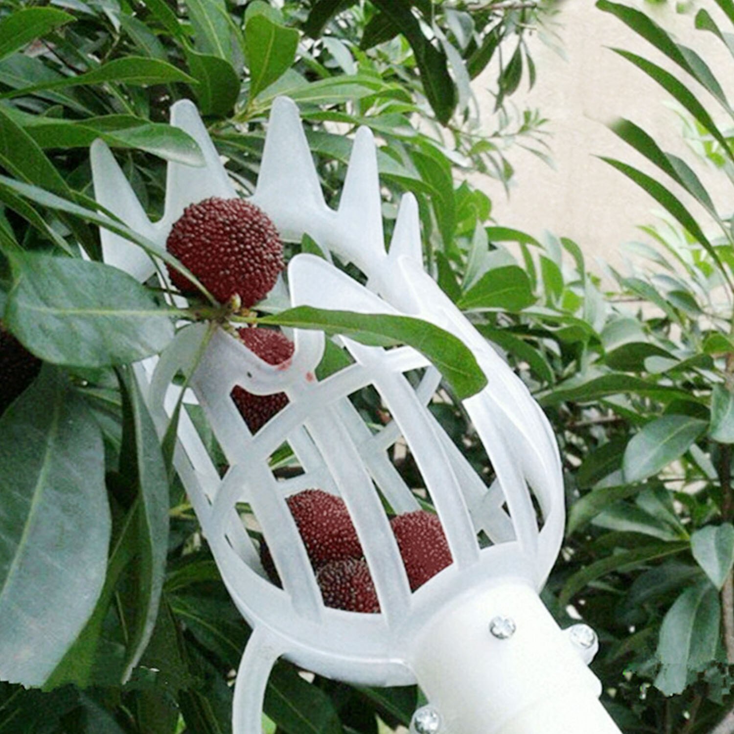 ANENG Plastic Fruit Picker Basket Head Catcher Gar... – Vicedeal