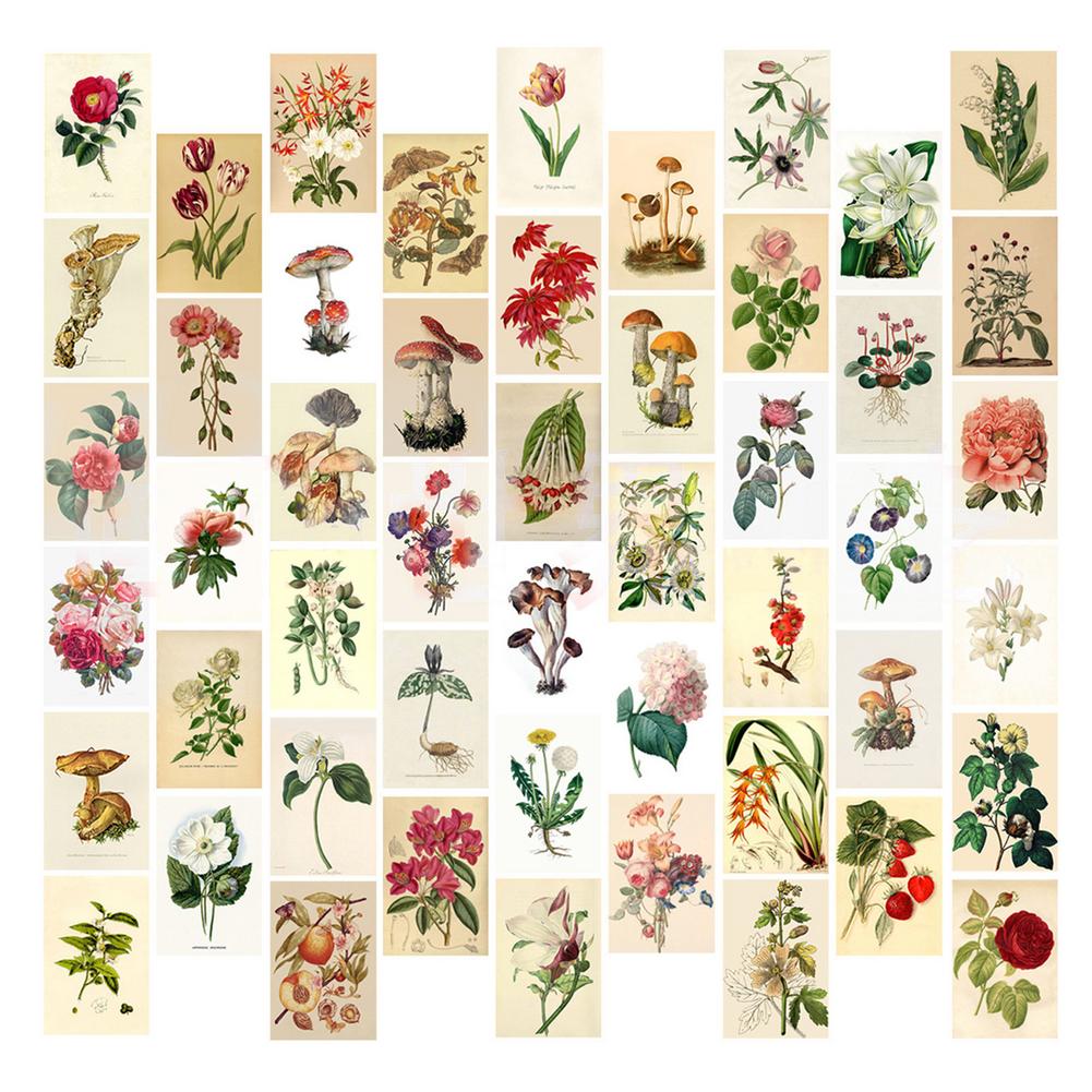 50PCS Vintage Botanical Wall Collage Kit Aesthetic... – Grandado