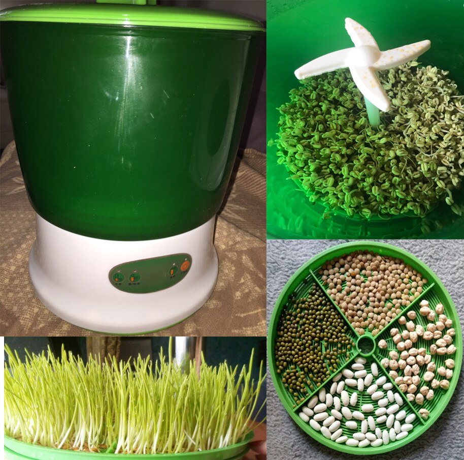 110V/220 Automatic Bean Sprouts Maker Thermostat E... – Vicedeal