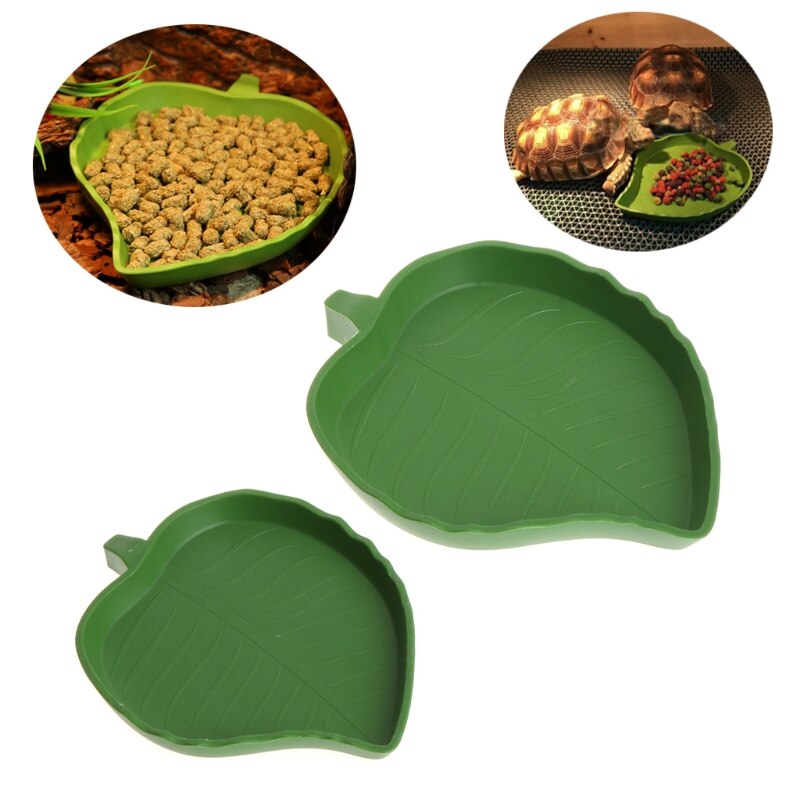 Reptile Water Food Dish Bowl Plastic Gecko Meal Wo... – Grandado