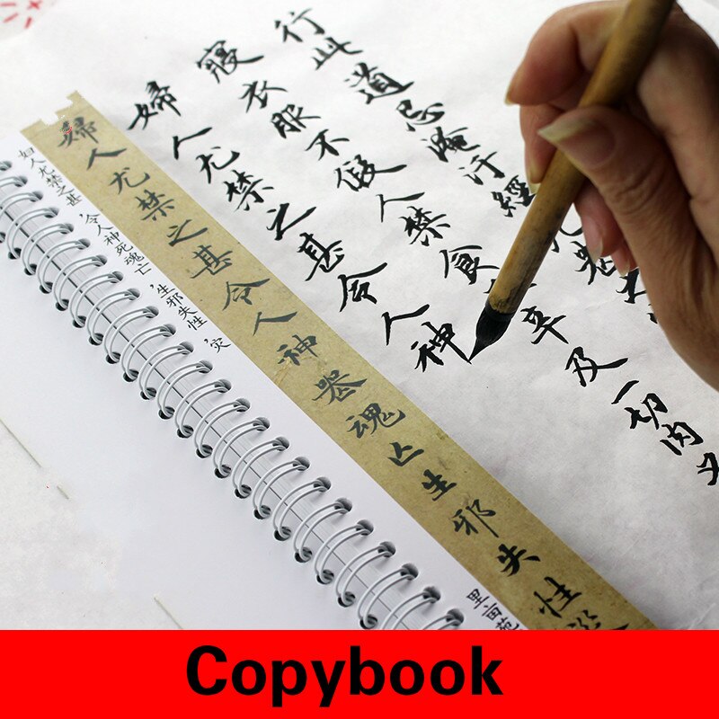 Brush Calligraphy Copybook Books Beginner Small Re... – Vicedeal