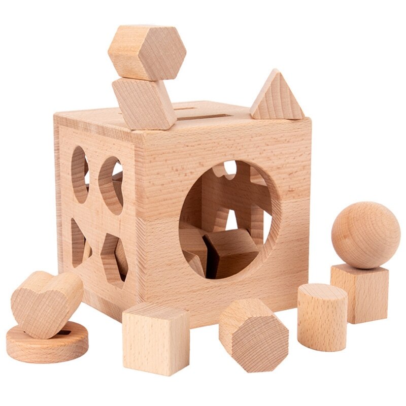 17 Holes Wooden Shape Matching Sorter Cognitive Ea... – Vicedeal