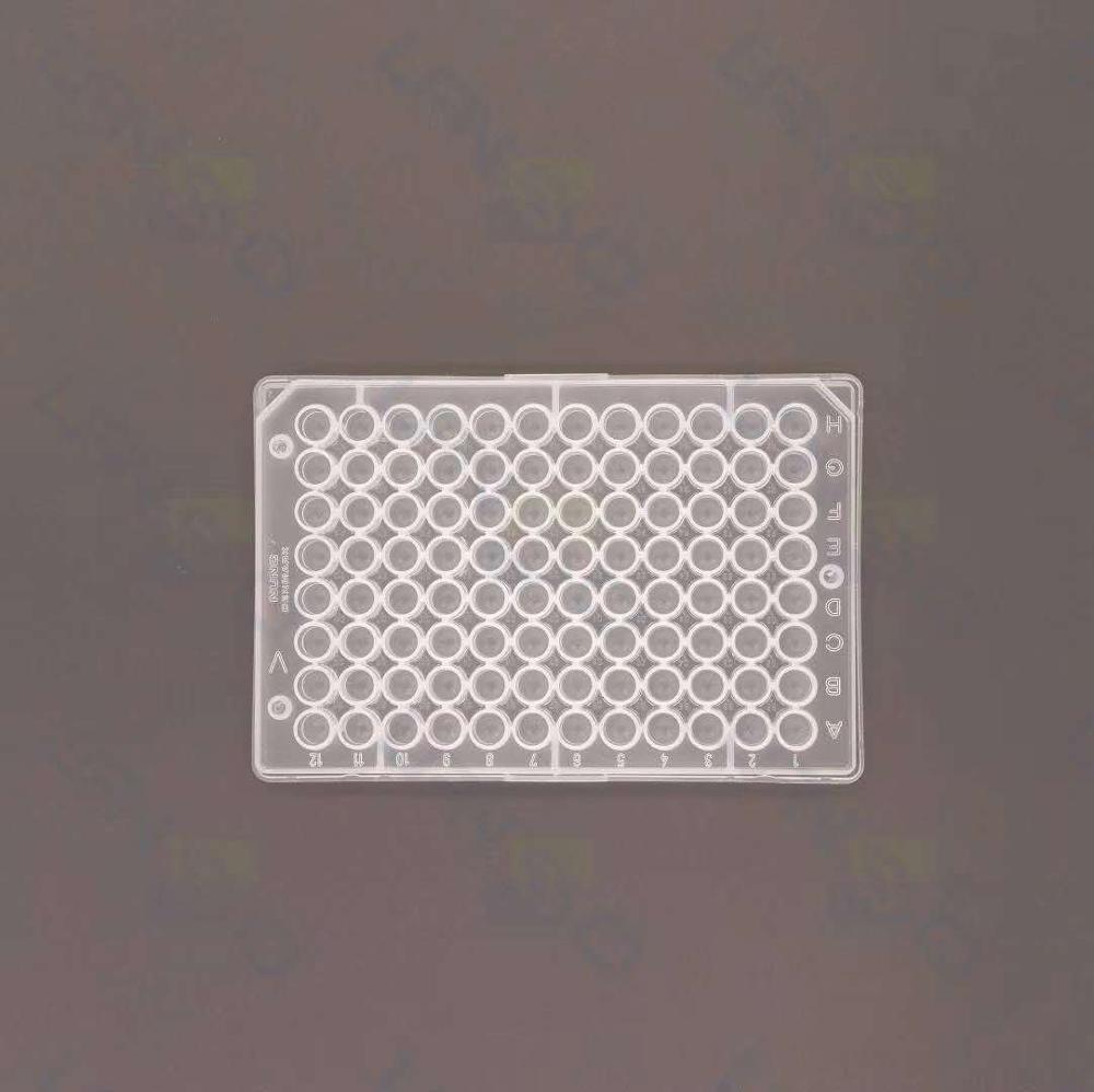 0.2ml half skirt-96-well PCR plate – Grandado