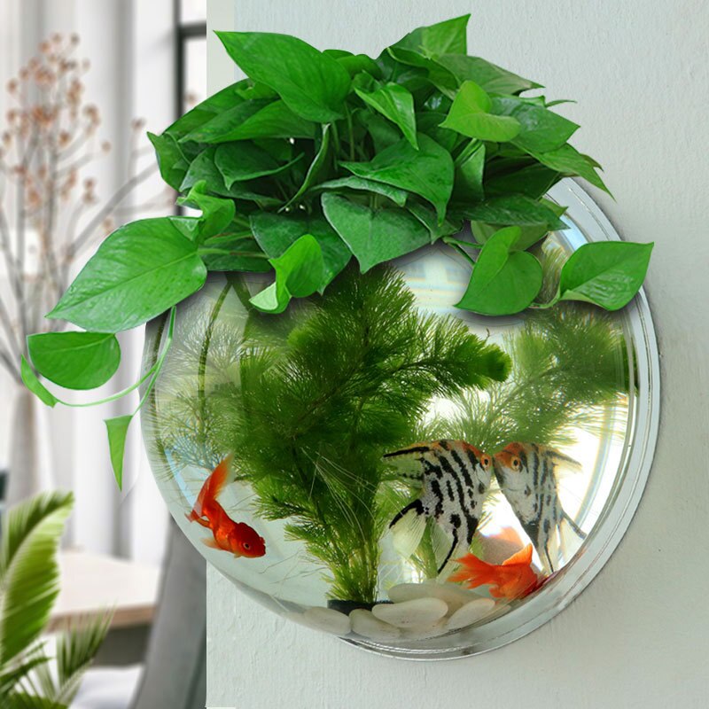 Mini Indoor Wall Hanging Aquarium Hanging Aquarium... – Grandado